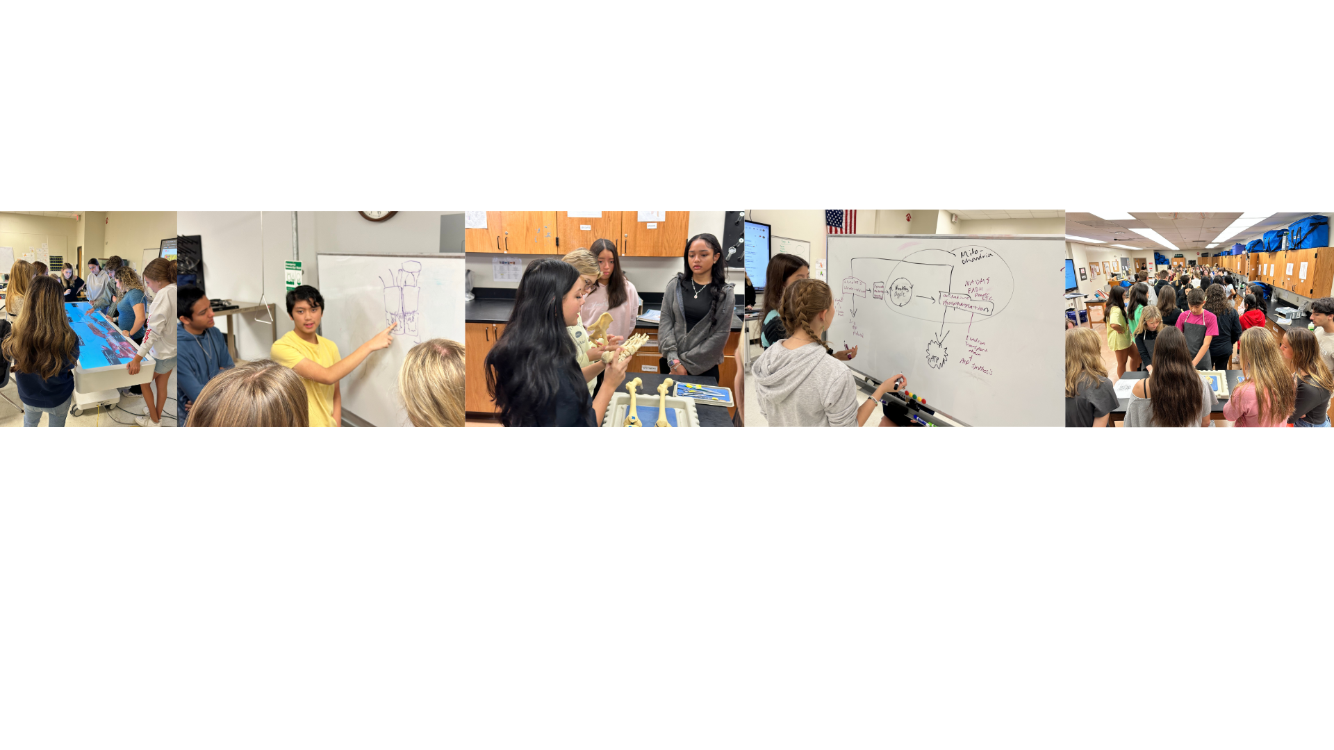 Academics & Contact Information | Mosley High School